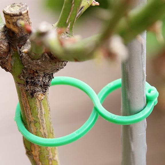 Tree Ties for Gardening and Plant Support