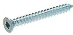 Robertson Screw