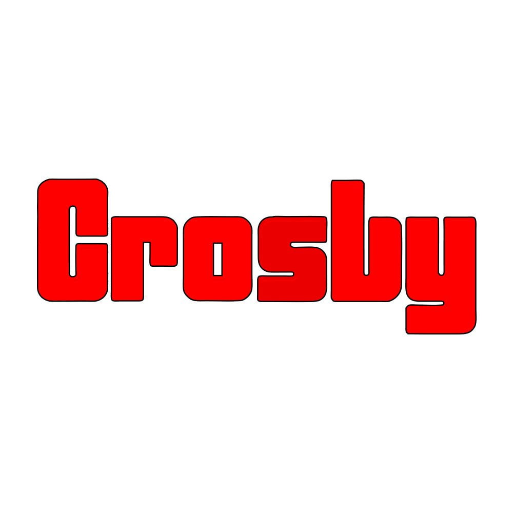 CROSBY 5/16 CROSBY CLIP G450 1010079 - Walmart.com