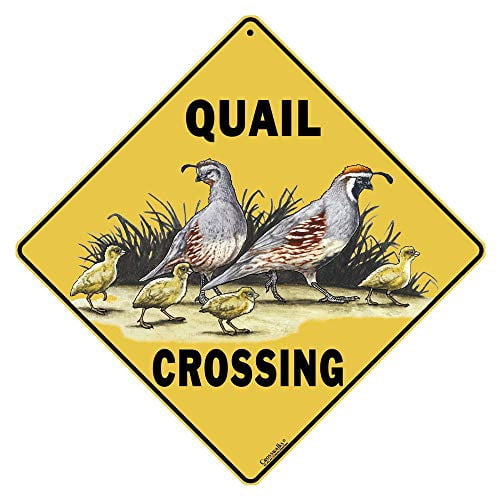 CROSSWALKS Quail Crossing 12" X 12" Aluminum Sign (X143) - Walmart.com