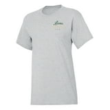 NCAA COLORADO STATE SS TEE Grey 2-Hit Circle Tee MENS SIZE L - Walmart.com