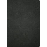 CSB Baker Illustrated Study Bible, Black Genuine Leather, Indexed, (Hardcover) - Walmart.com