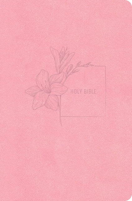 CSB Compact Bible, Value Edition, Soft Pink Leathertouch, (Hardcover ...