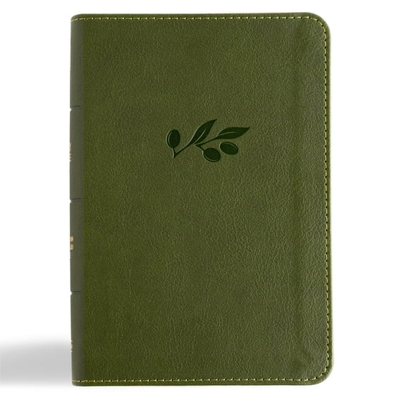 CSB Large Print Compact Reference Bible, Digital Study Edition, Olive ...