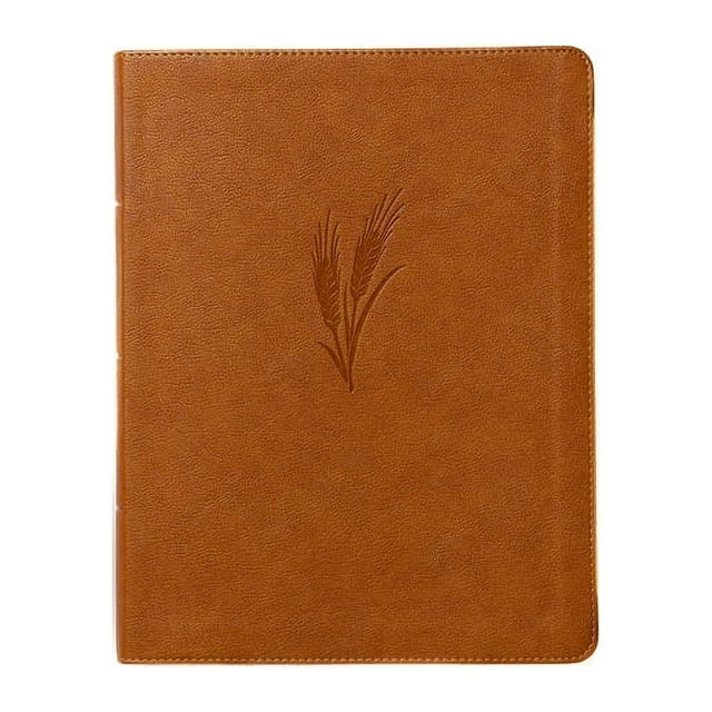 CSB Notetaking Bible, Large Print Edition, Camel LeatherTouch ...