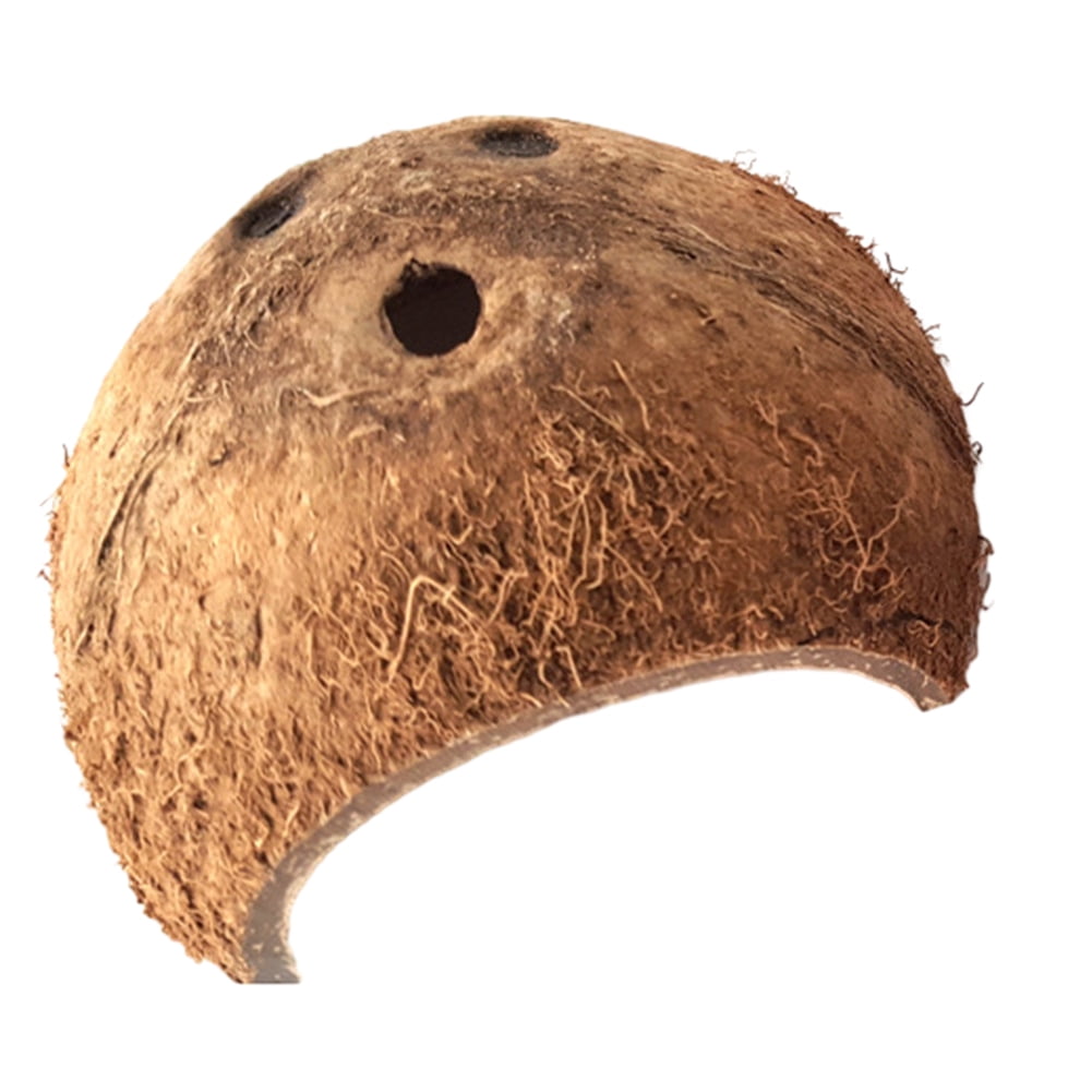 CSCHome 2.76x4.72inch Coconut Shell Hideouts for Reptiles Amphibians ...