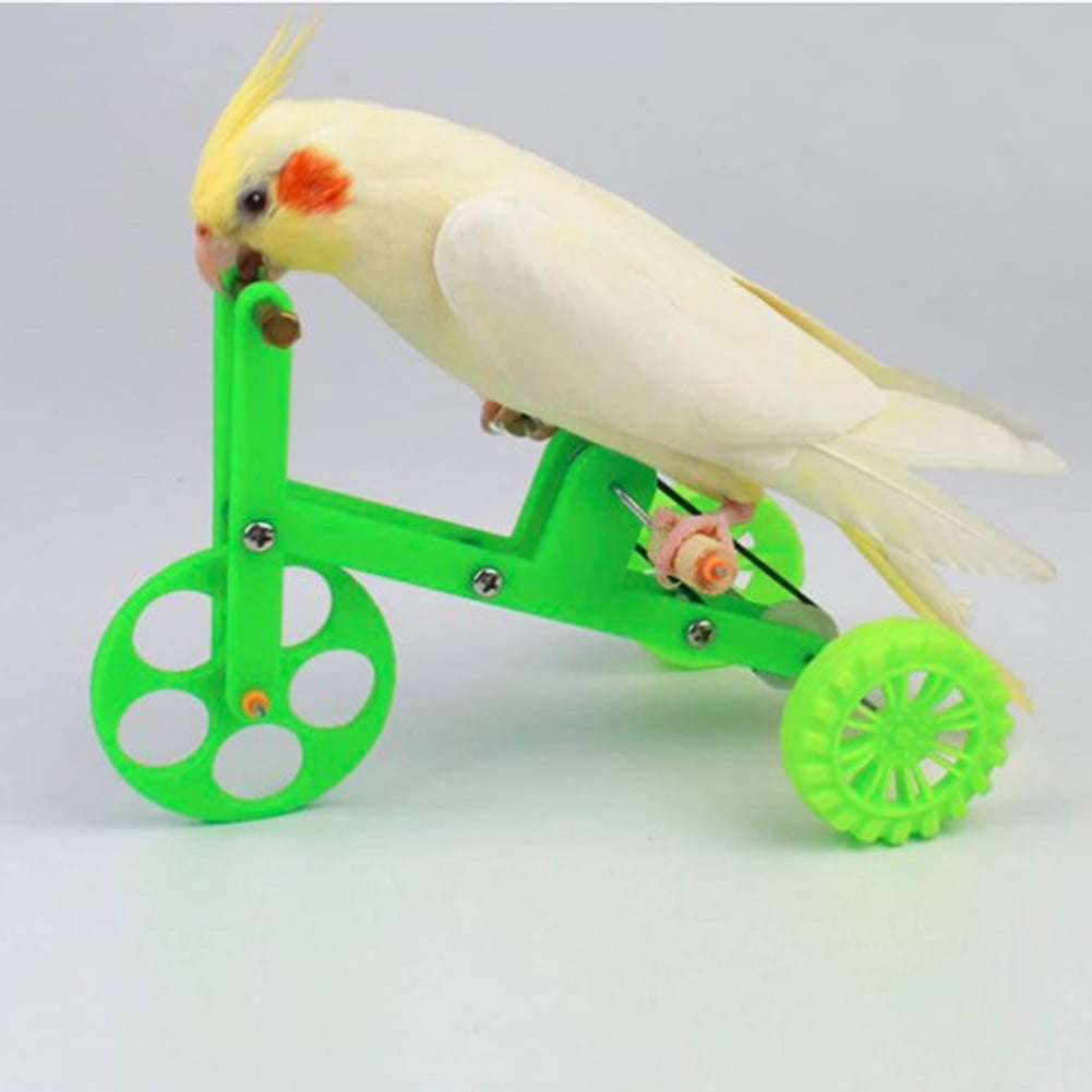 CSCHome Bird Toys Bird Intelligence Training Toy Parrot Bike Toy Parrot ... CSCHome Bird Toys Bird Intelligence Training Toy Parrot Bike Toy Parrot ...