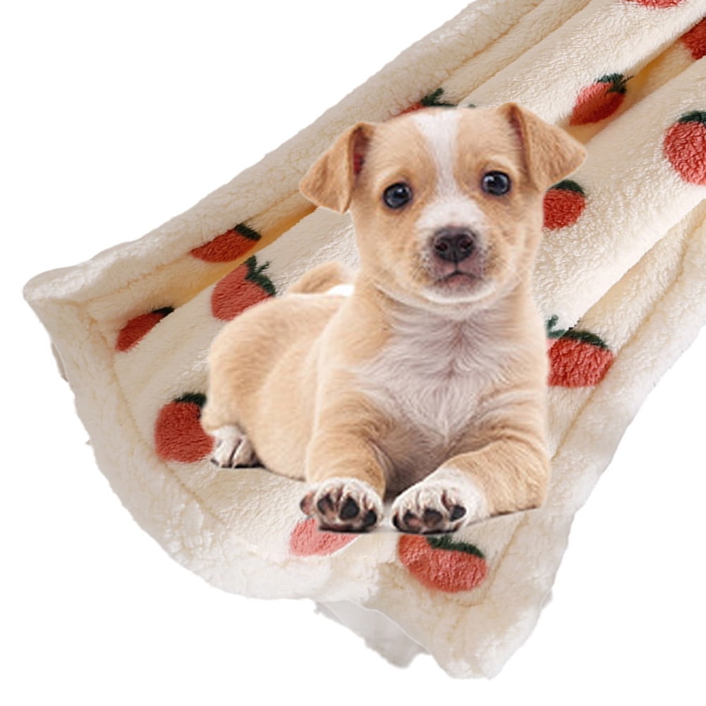 CSCHome Dog Blanket Cat Bed Premium Flannel Pet Blanket Breathable ...