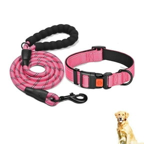 Locking Dog Collars