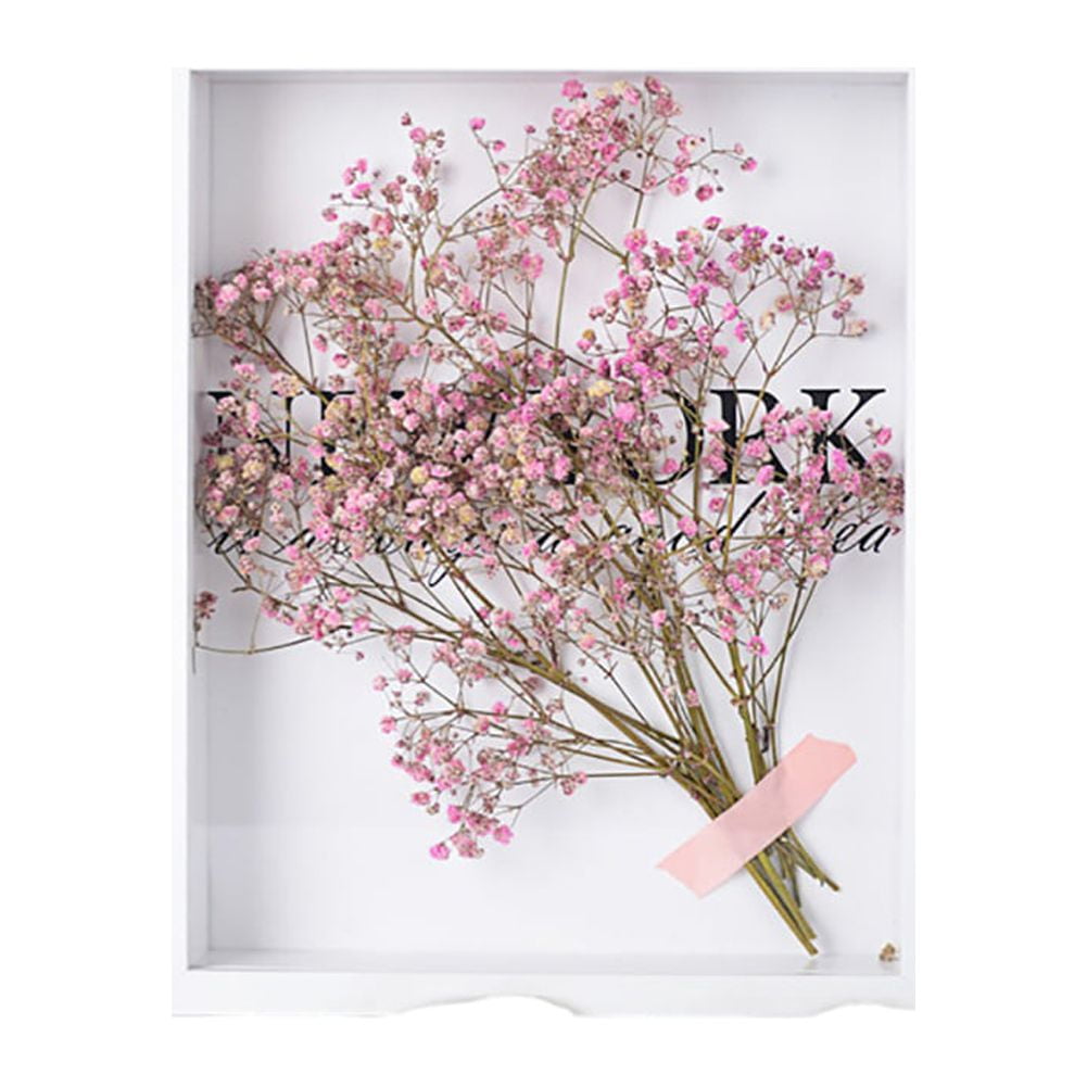 CSCHome Exquisite Realistic Dried Flower Photo Frame Plant Specimen ...