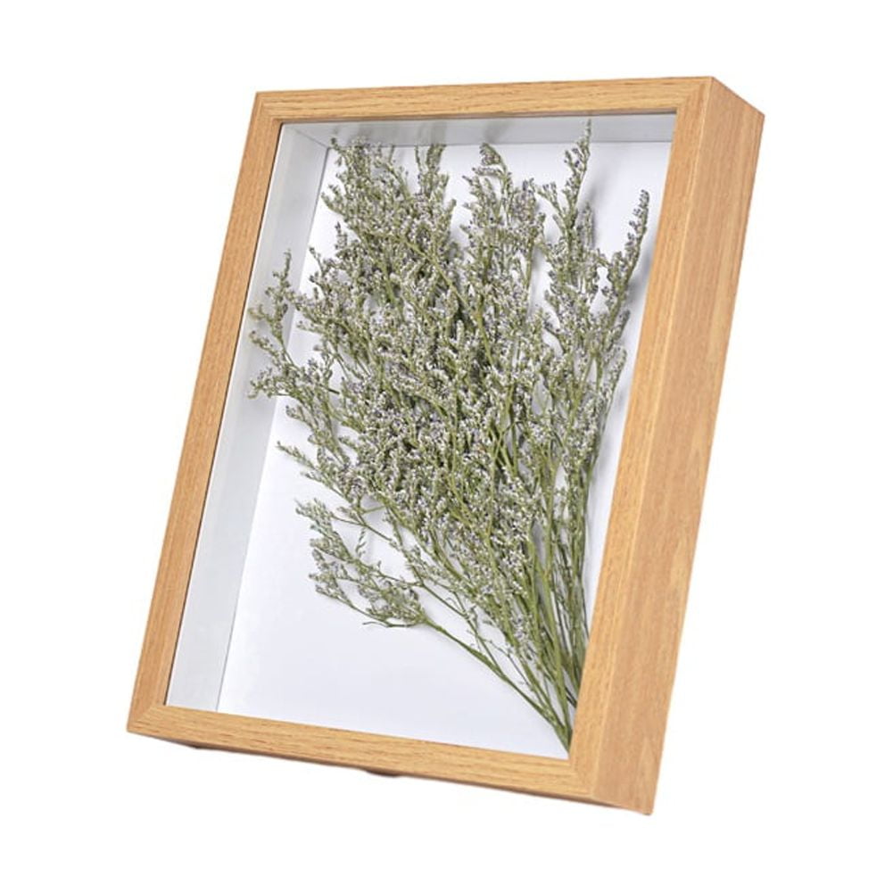 CSCHome Exquisite Realistic Dried Flower Photo Frame Plant Specimen ...