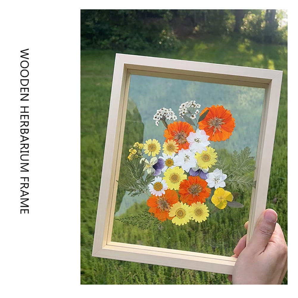 CSCHome Glass Photo Frames, Specimen Display Frames, Double-Sided Glass ...