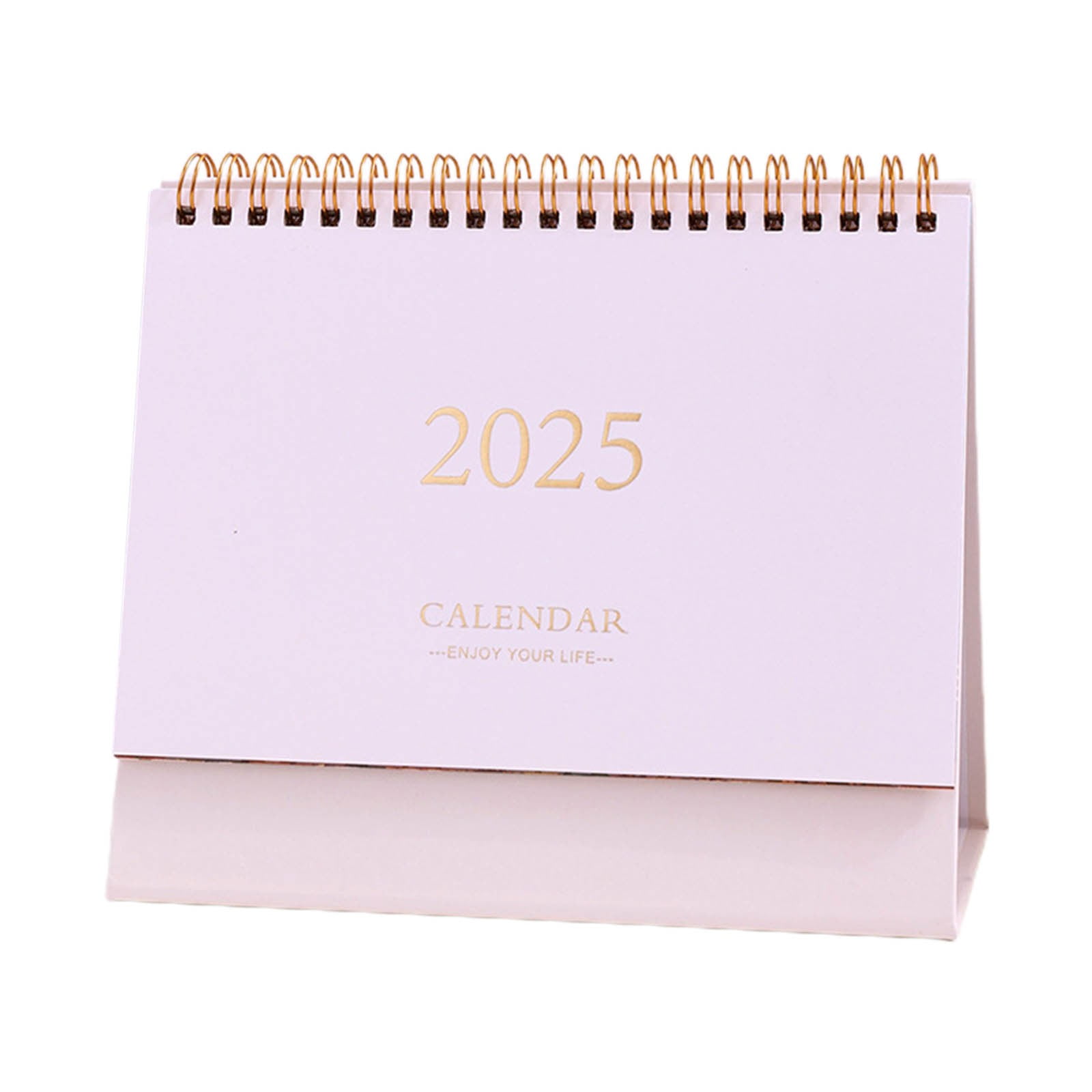 CSSAD 2025 Desk Calendar,Standing Flip Desktop Calendar Small Desktop ...