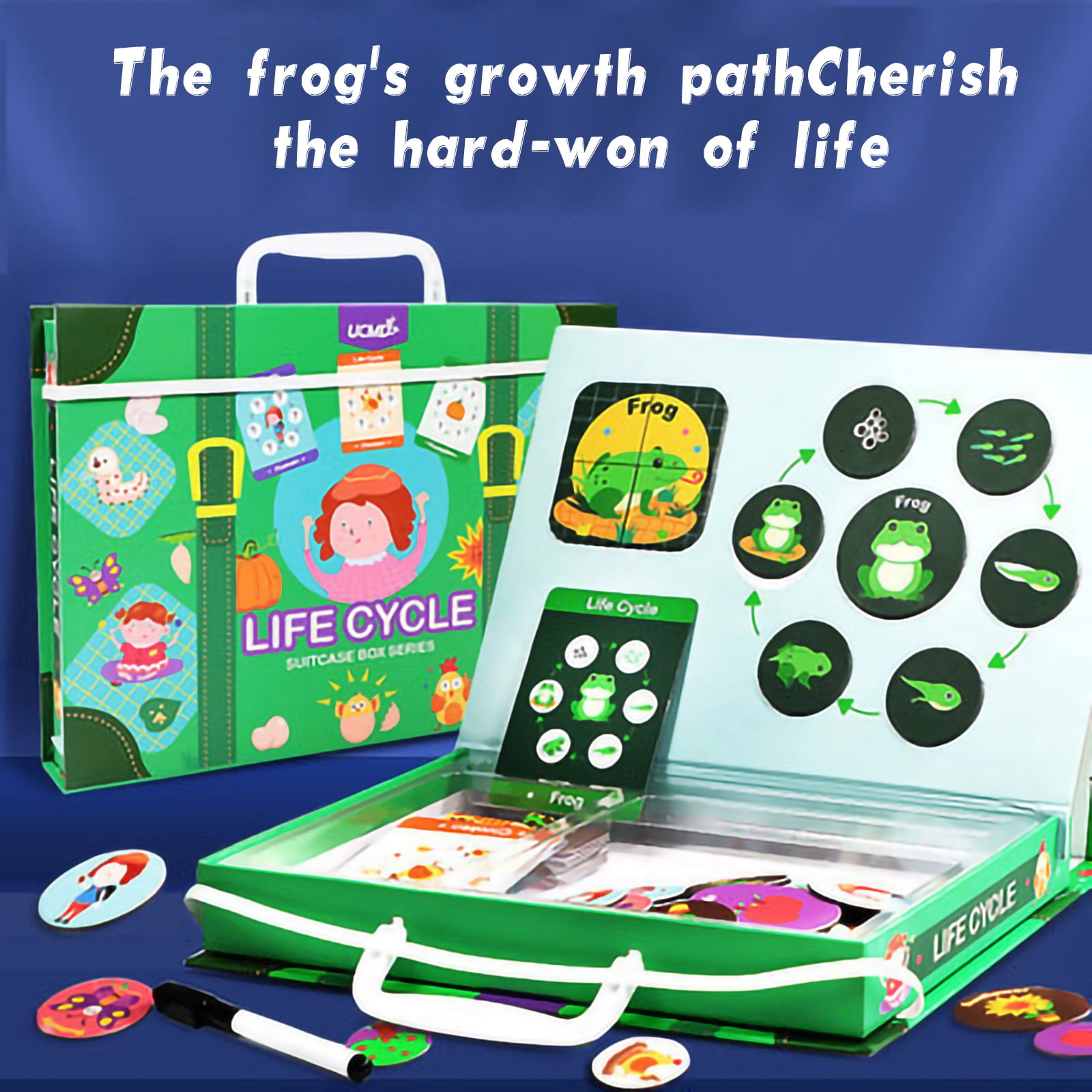 CSSAD Children's Magnetic Jigsa w Puzzle Toy Life Cycle Jigsa w Puzzle ...