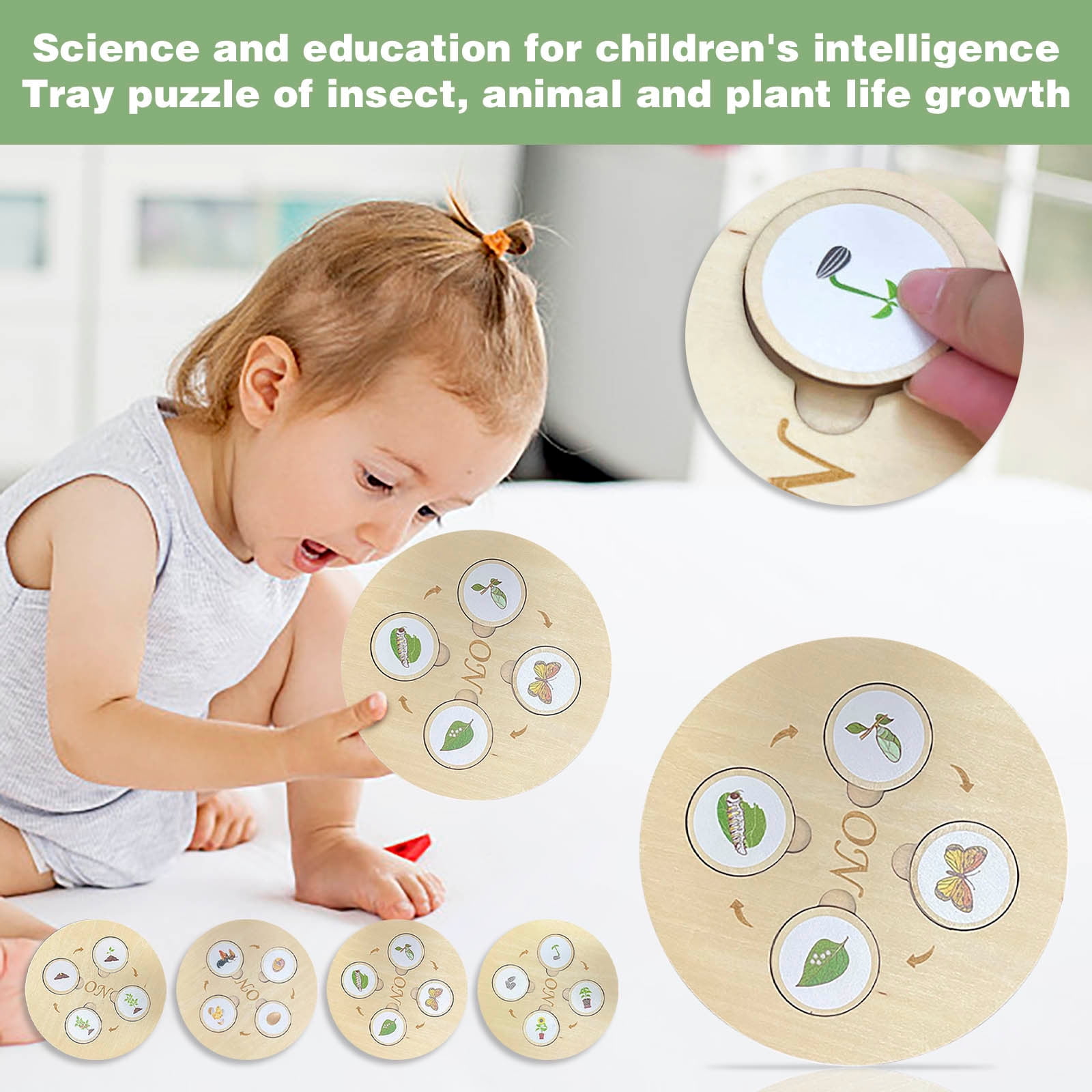 CSSAD Jigsaw Puzzles for Kids Life Cycle Puzzle Board, Wooden Puzzle ...