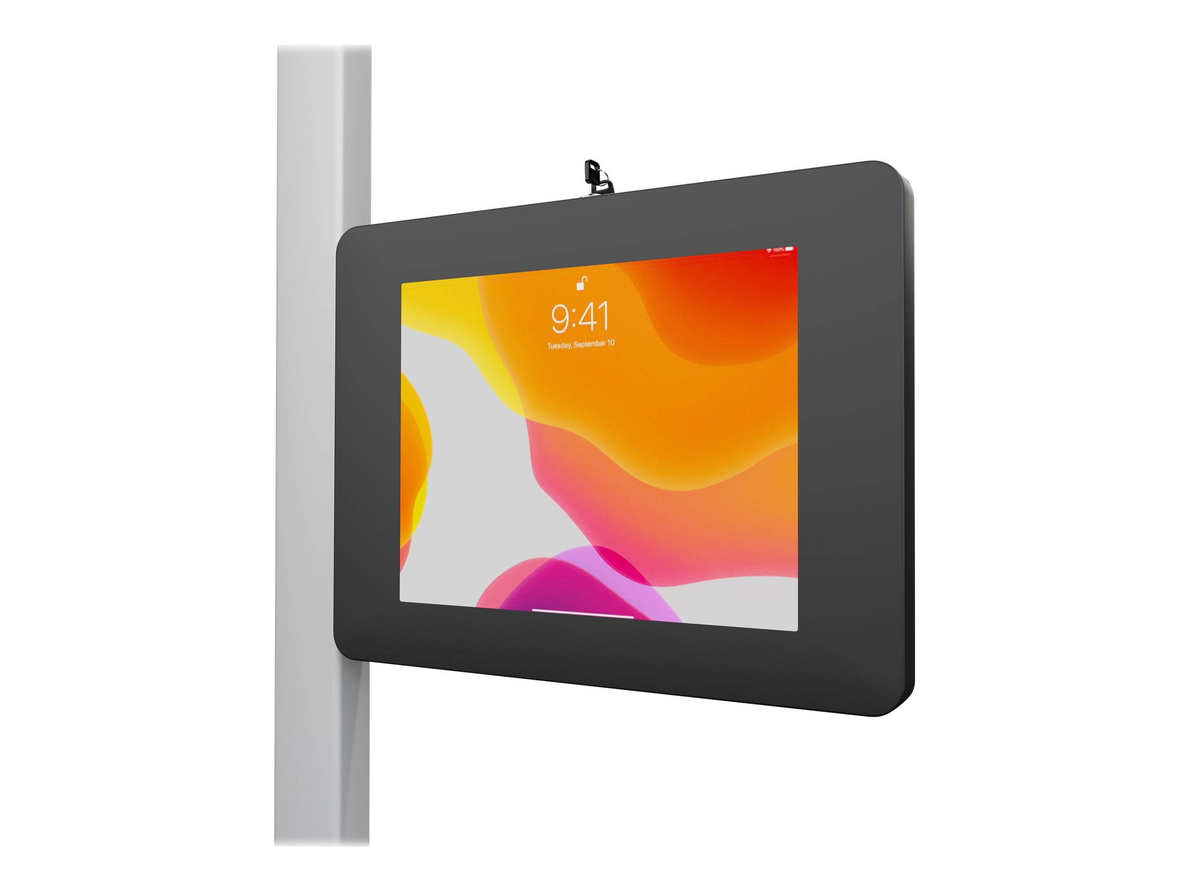 Premium Security Mullion Side Mount Enclosure - Walmart.com