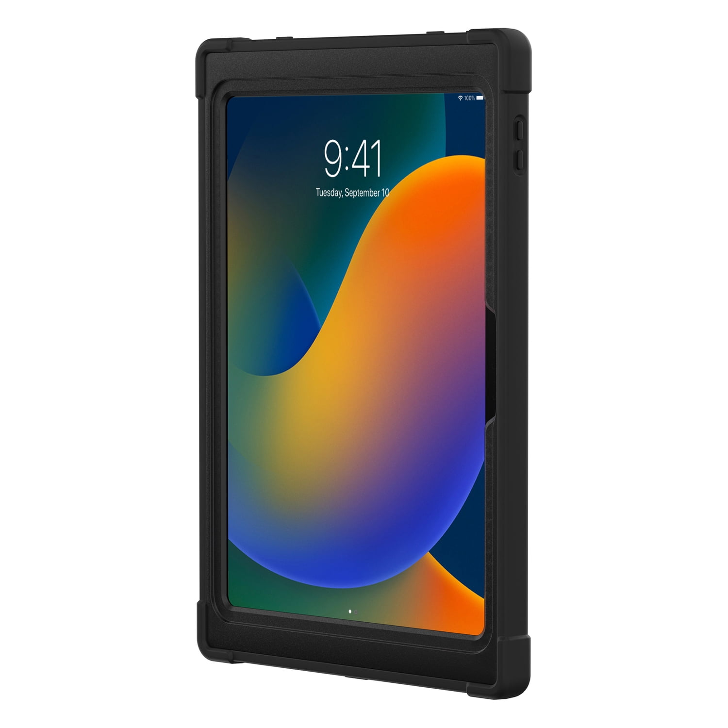 CTA Digital Magnetic Splashproof Case and Metal Mounting Plate for iPad ...
