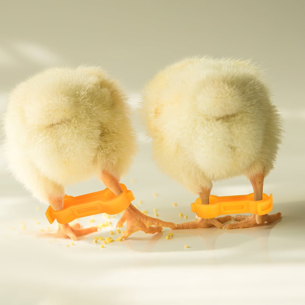 CTIRCHIU 15Pcs Chick Leg Traction Brace PVC Yellow for Birds Quails ...