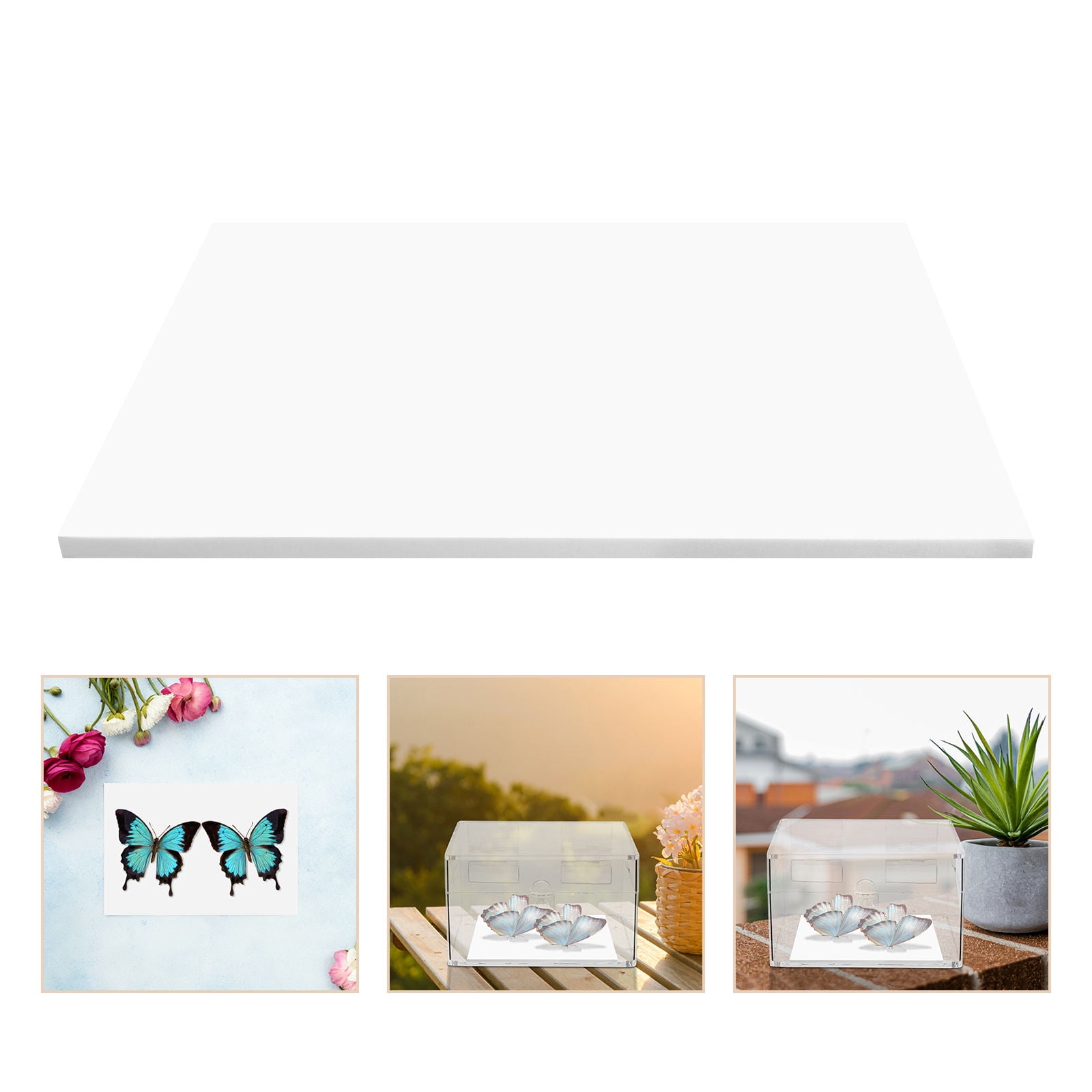 CTIRCHIU 1Pack White EVA Butterfly Display Box Specimen Display ...