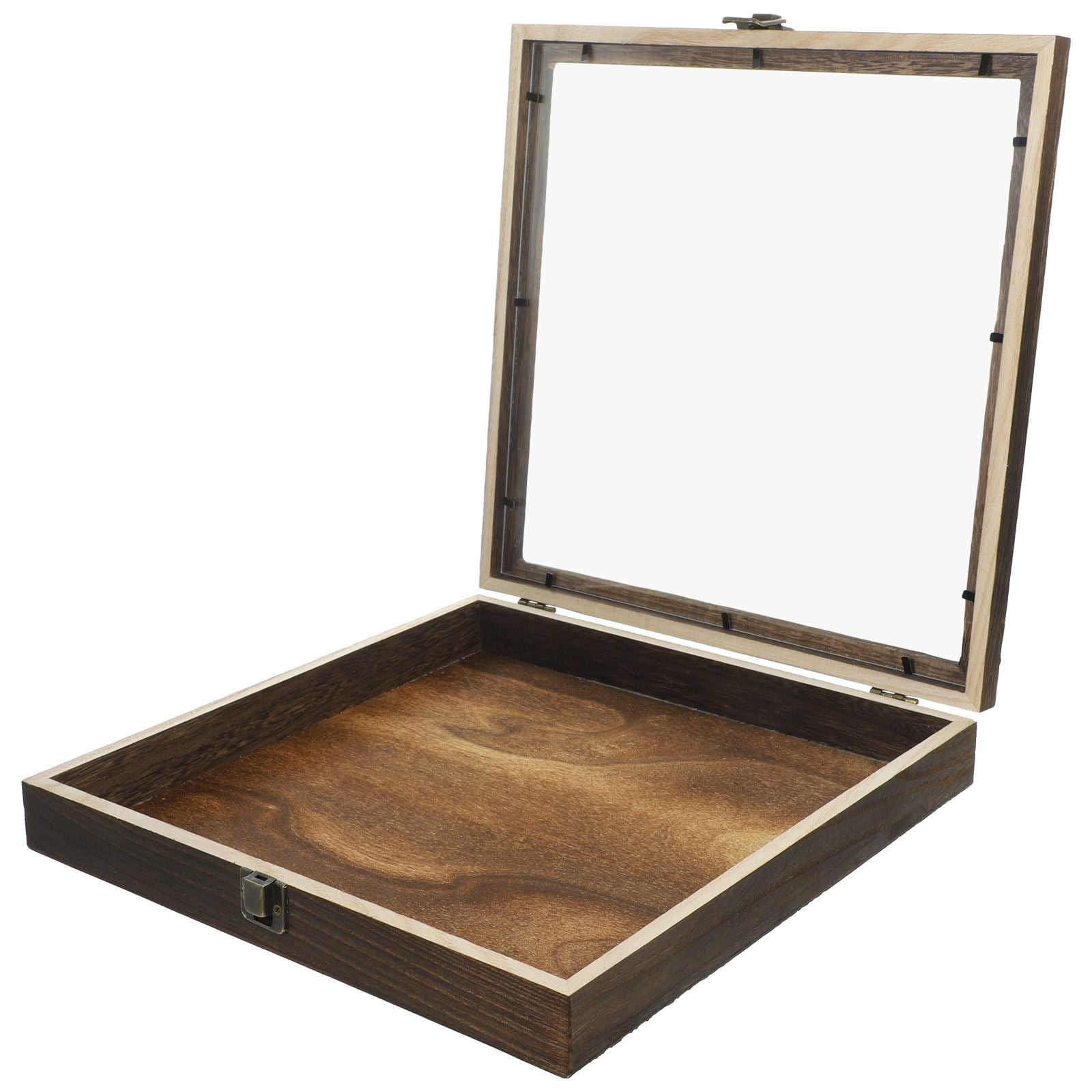 CTIRCHIU Rectangular Insect Pinning Box for Entomology Specimen Display ...