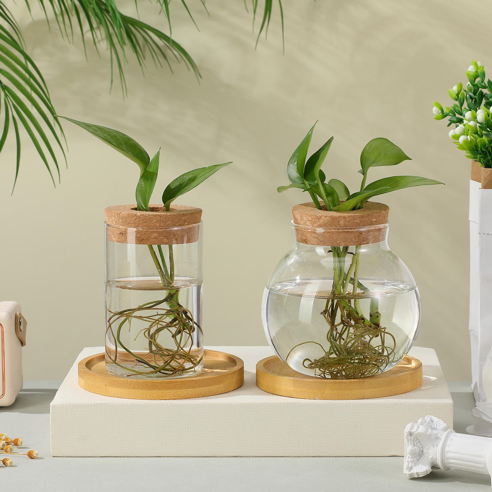 CTIRCHIU 2 Pcs Glass Planters For Indoor Plants With Wooden Support ...