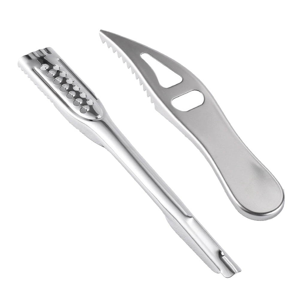CTIRCHIU Stainless Steel Fish Scaler Manual Cleaning Tool Prevent Hand ...