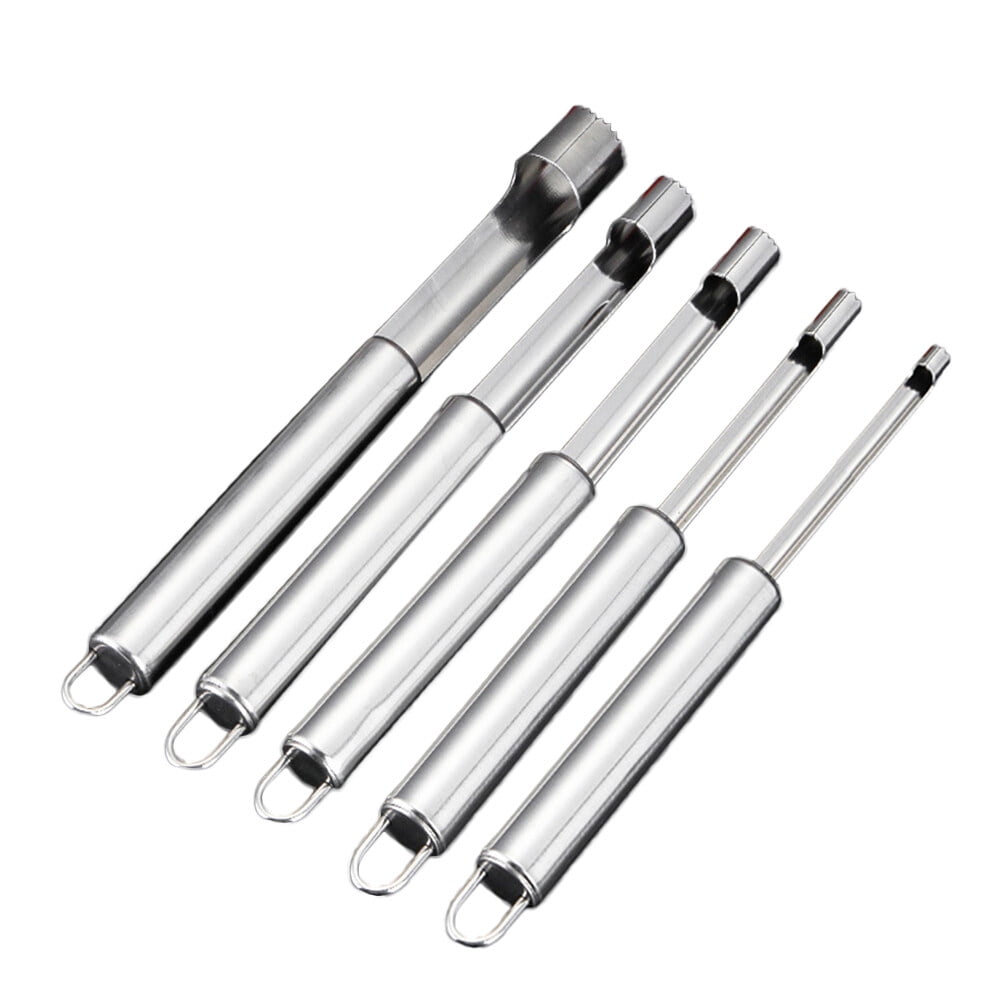 CTIRCHIU 5pcs Fruit Core Extractor Stainless Steel Multi Functional ...