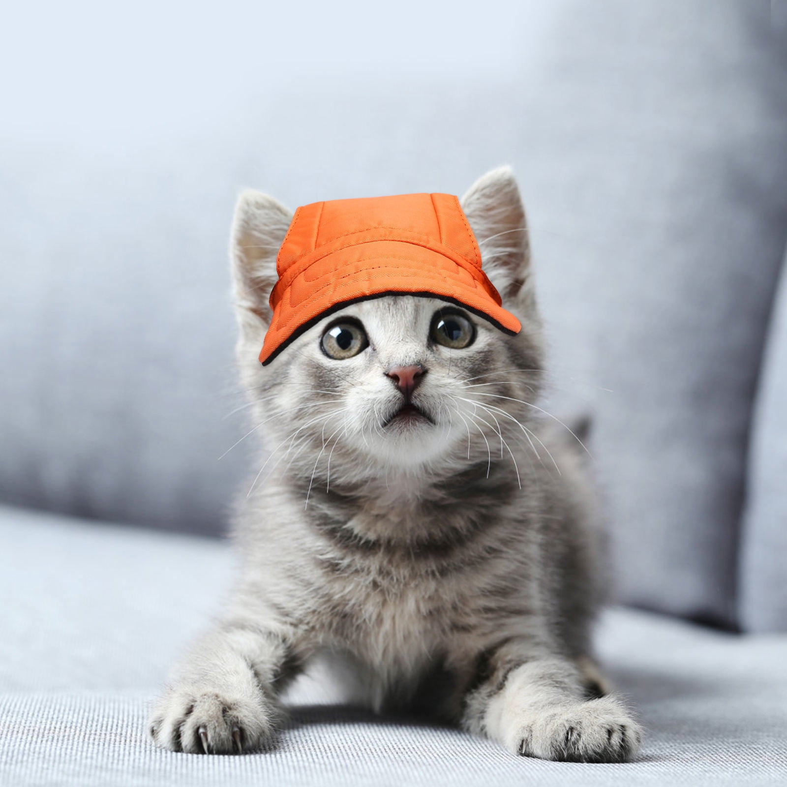 CTIRCHIU Pet Baseball Cap 1 Piece for Dogs and Cats with Comfortable ...