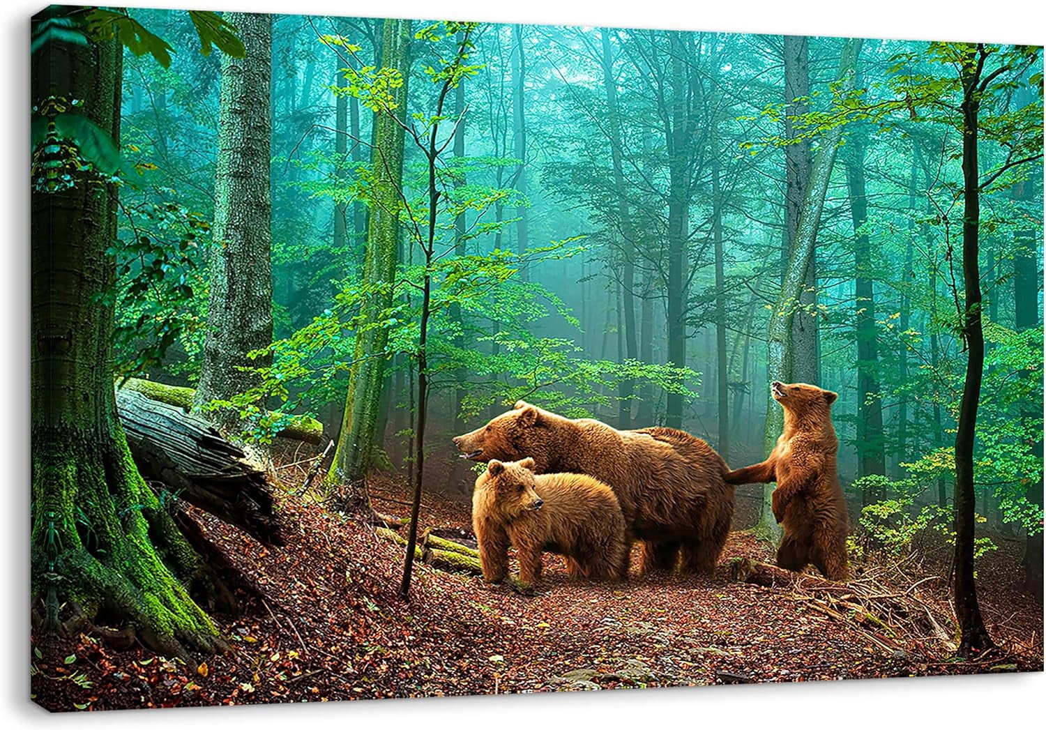 CTLL-Brown Bear Wall Art for Kids Room, PIY Cute Animal Canvas of ...