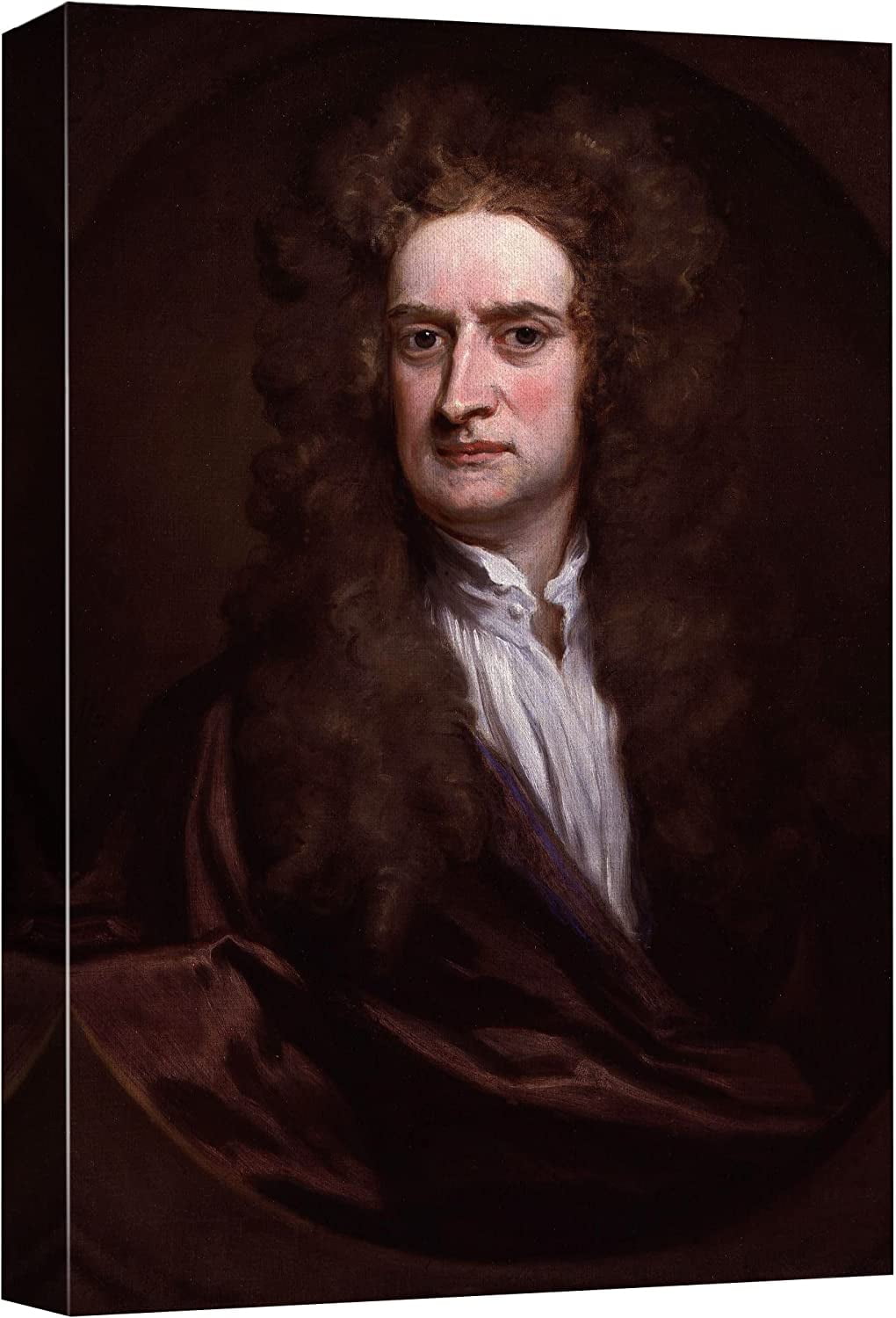 CTLL-Canvas Print Wall Art Portrait of Isaac Newton People Pop Culture ...