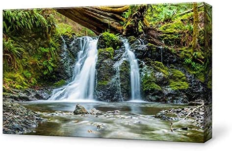 CTLL-Canvas Print Wall Art Waterfall Under Toppled Tree Nature ...