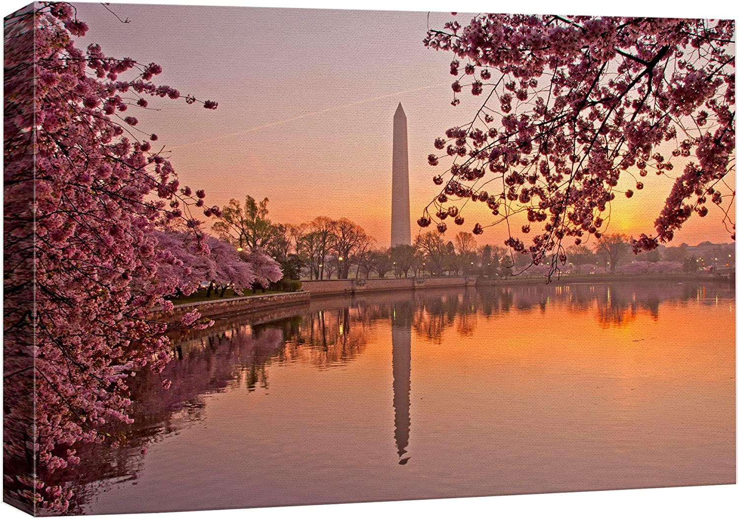 CTLL-Canvas Prints Wall Art Cherry Blossom Festival at The National ...
