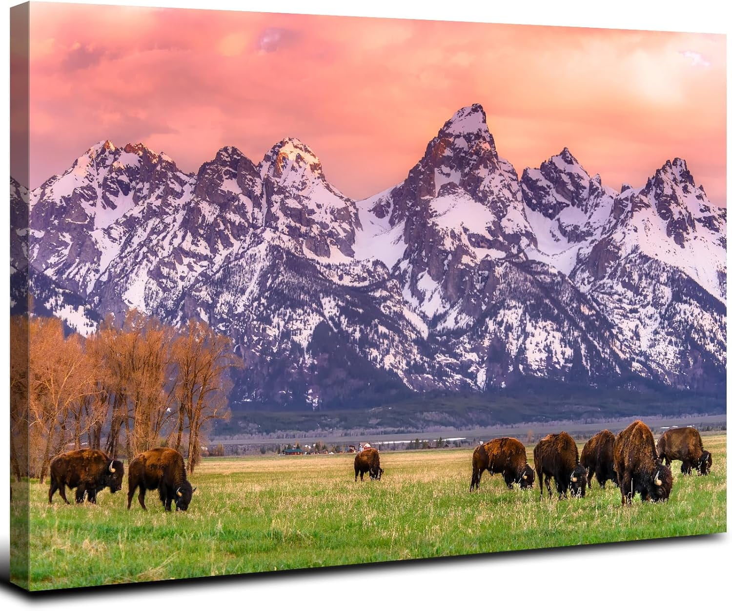 CTLL-Grand Teton Wall Art Highland Cow Nature Wall Decor National Park ...