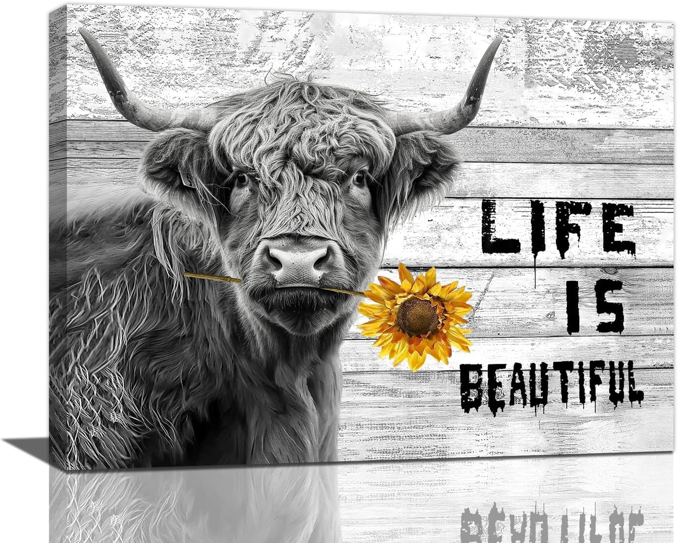 CTLL-Highland Cow Wall Art Farmhouse Cow Canvas Prints Black and White ...