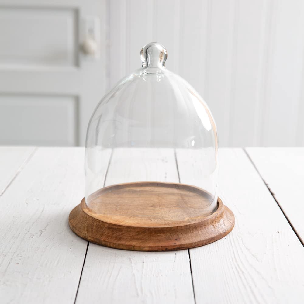 CTW Home Collection 370667 Small Glass Bell Shaped Cloche with Wood ...