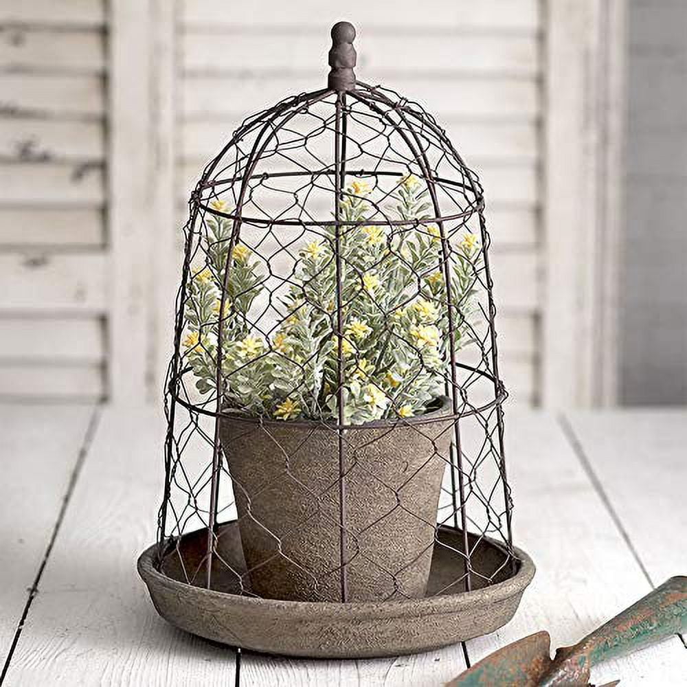 CTW Home Collection Chicken Wire Cloche with Terra Cotta Pot and Saucer ...