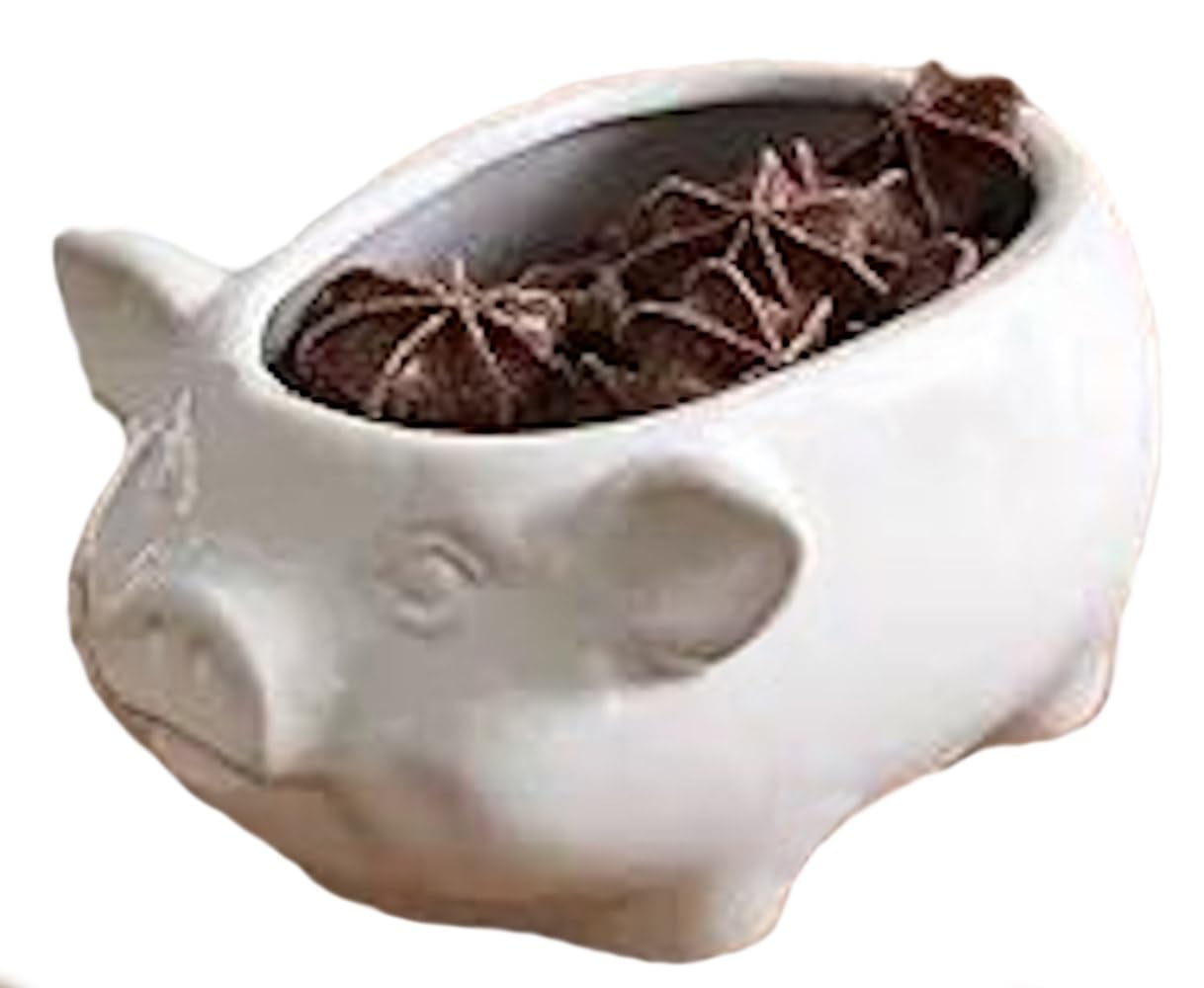 CTW Home Collection Pig Candy Bowl, 2.75-inch Height, Ceramic, Snacks and Sweets, Treats Server ...