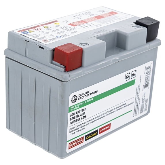 CUB CADET 490-280-F017 12-Volt AGM Battery 210 CCA 50 42 ZTXS6 ZTXS5 ...
