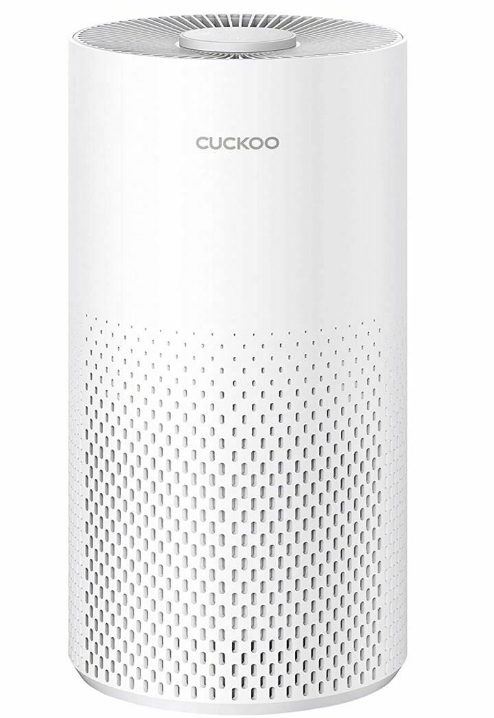 CUCKOO Air Purifier with Additional True HEPA filter - Walmart.com