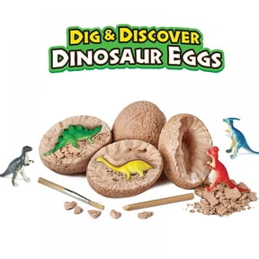12PCS Dinosaur Digging Fossil Kit with 12 Dinosaur Eggs, brush Tools ...