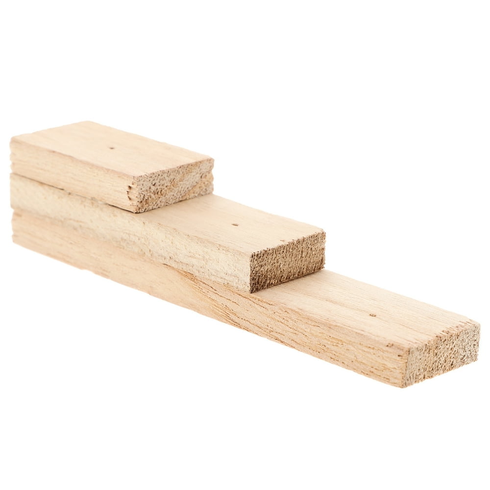 CUITING Insect Pinning Block Insect Specimen Display Stand Insect ...