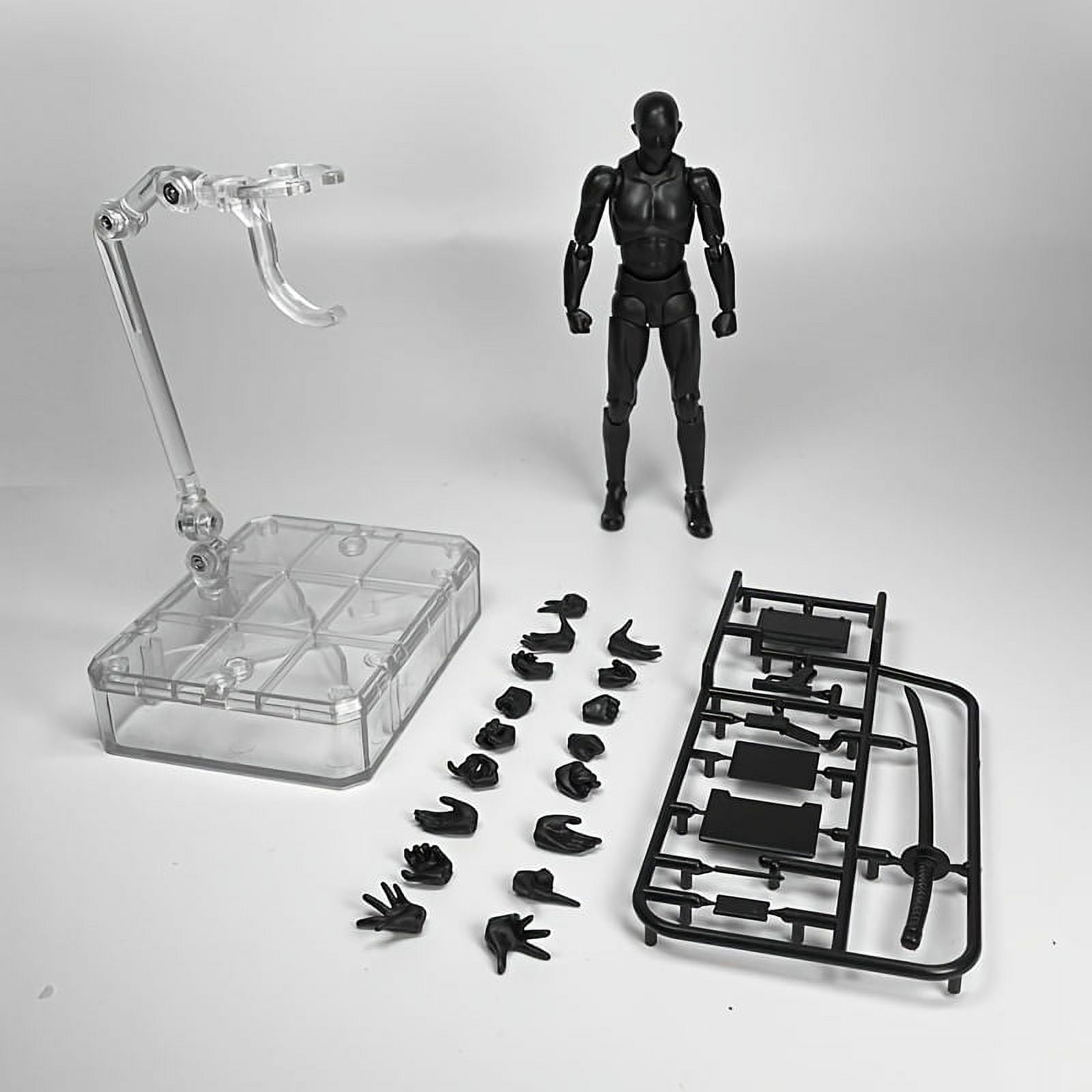 CUITING Realistic Human Body Model with Movable Joints - Ideal for Art ...