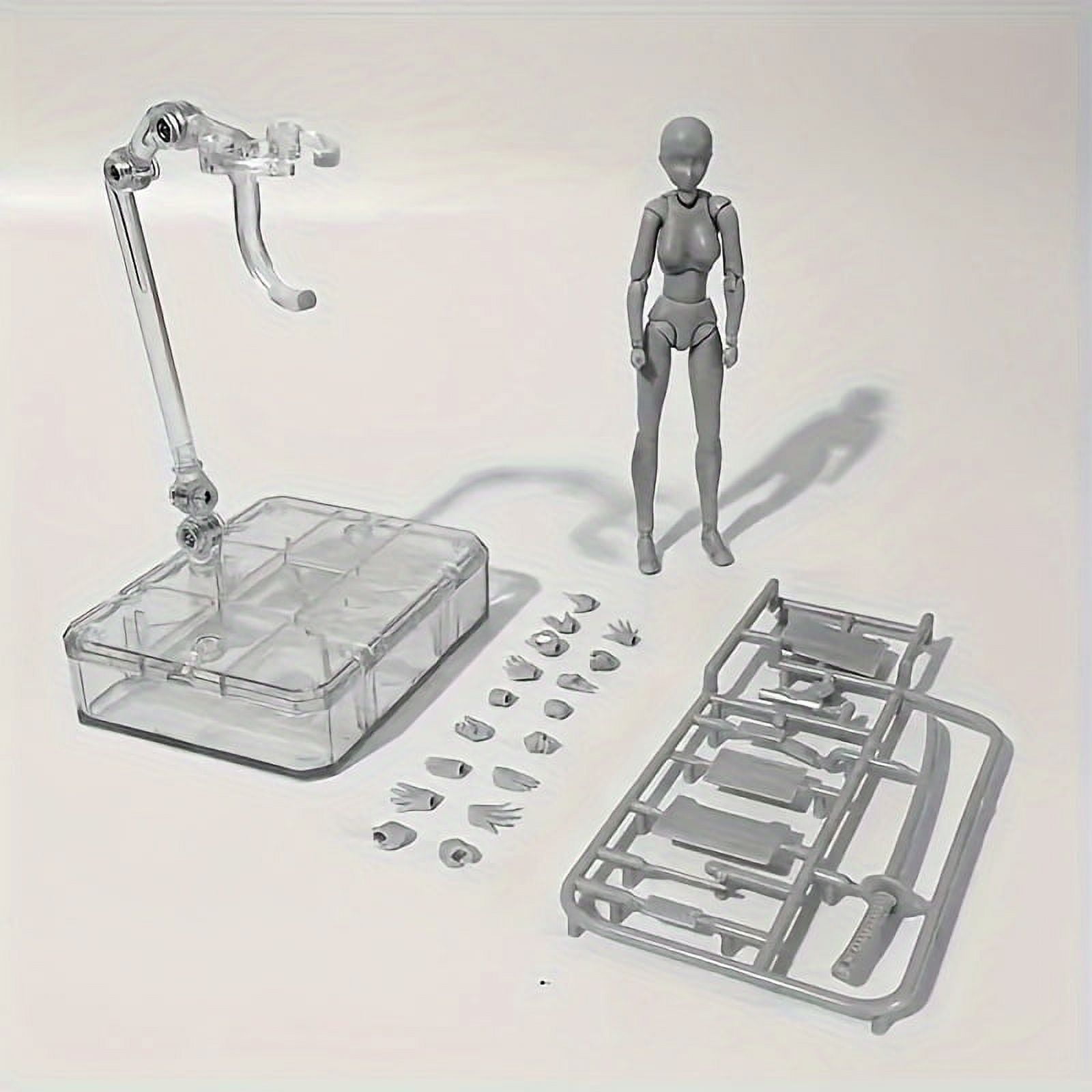 CUITING Realistic Human Body Model with Movable Joints - Ideal for Art ...