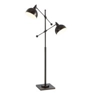Lite Source Jared 2 Light Floor Lamp - Walmart.com