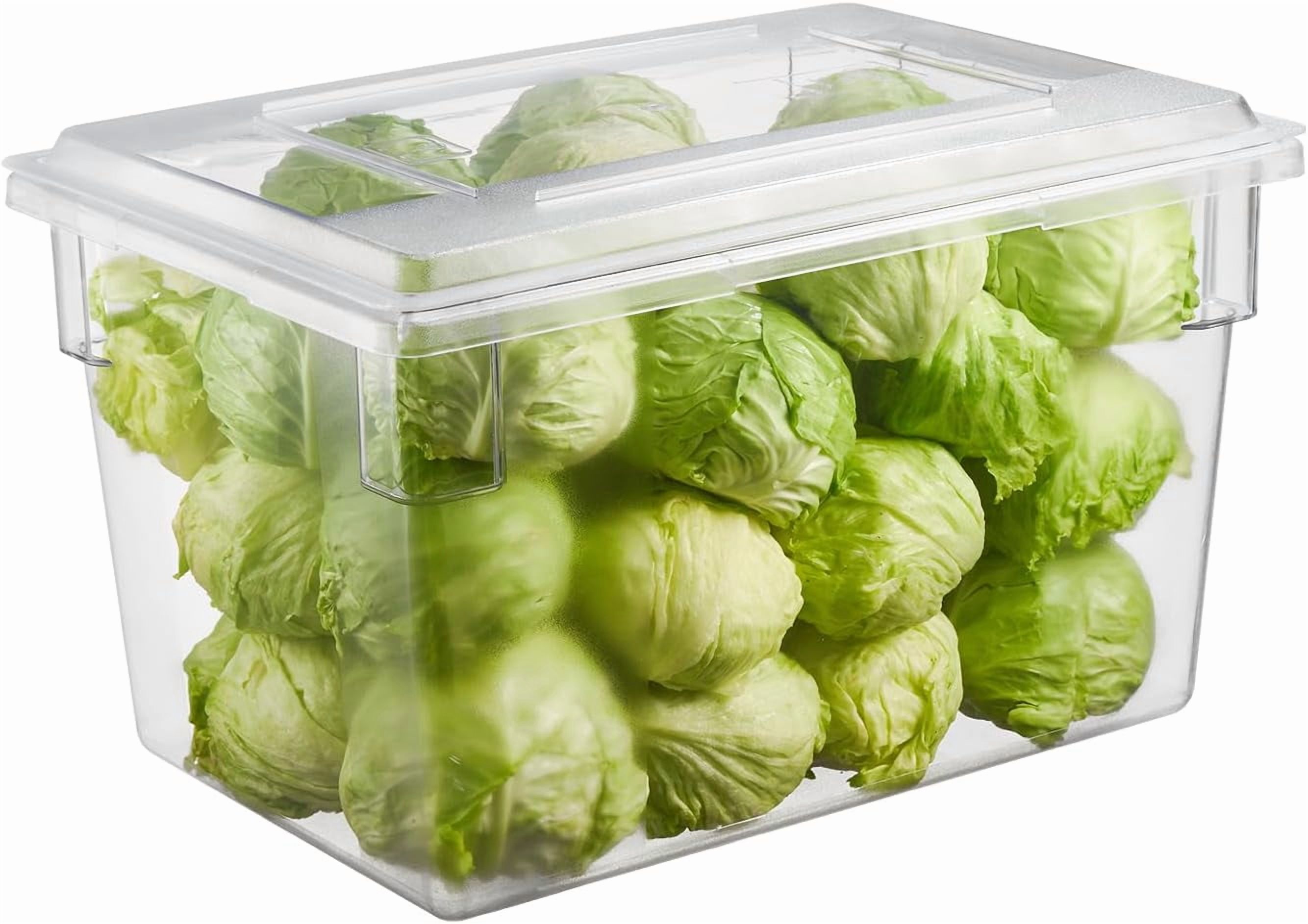 CURTA 1 Pack Food Storage Box with Lid, 21.5 Gal - 26" x 18" x 15 ...