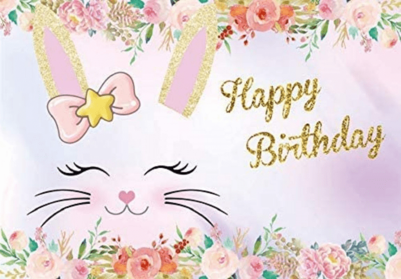 CUSTOM Cat Birthday Decorations Happy Birthday Backdrop, Pink Birthday ...