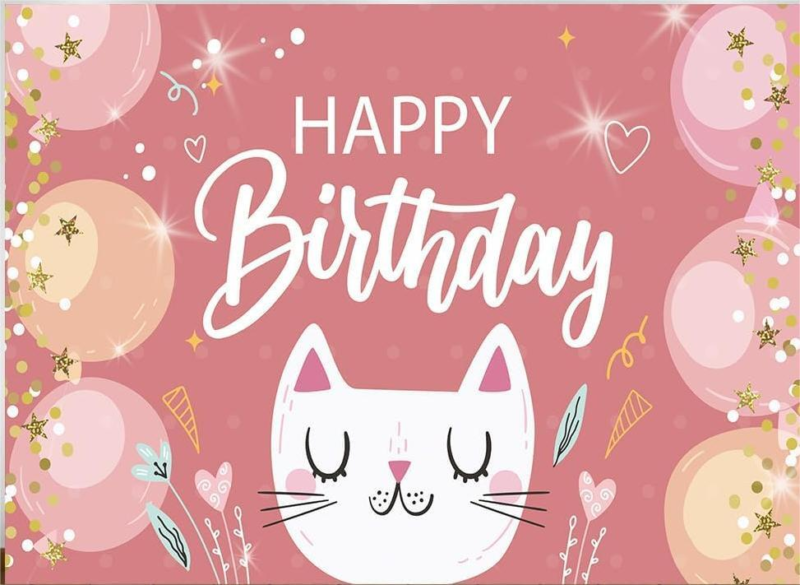 CUSTOM Cat Happy Birthday Backdrop Meow Kitten Photography Party Decor ...