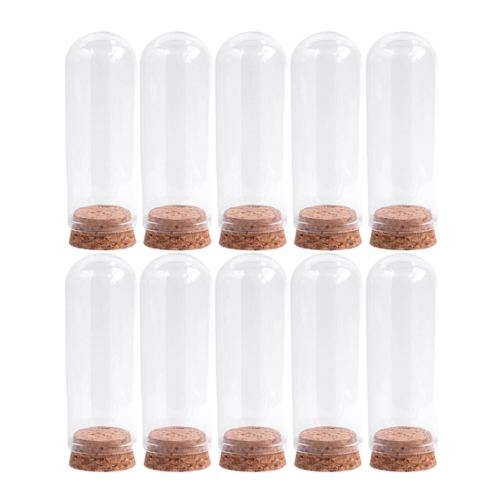 CUTICATE 10Pcs Glass Domes Decorative Jars Lightweight Clear Accessories Dustproof Display Cases ...