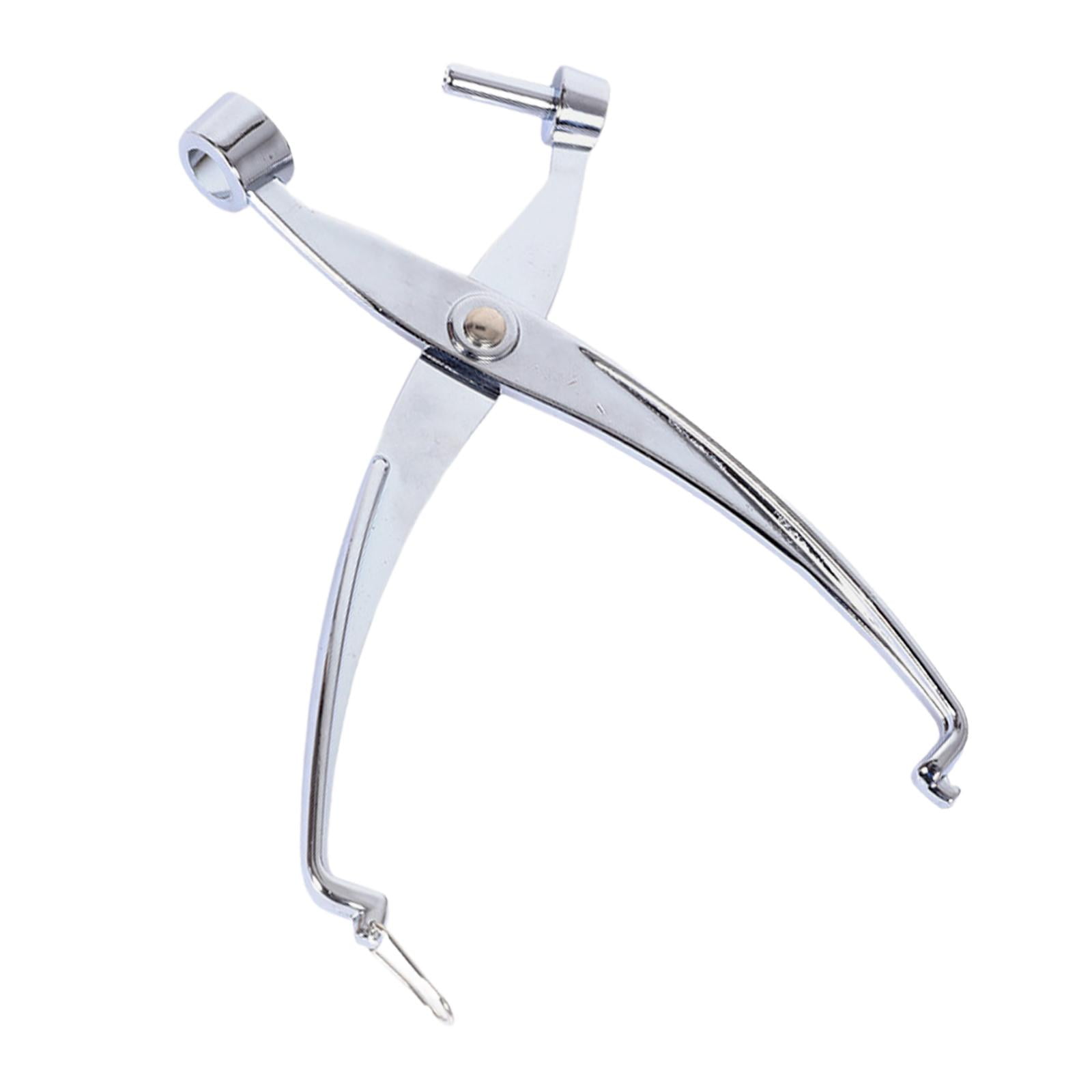 CUTICATE Cherry Picker Tool,Heavy Duty Cherry Pitting Tool,Cherry Core Remover Tool,Cherry Corer ...