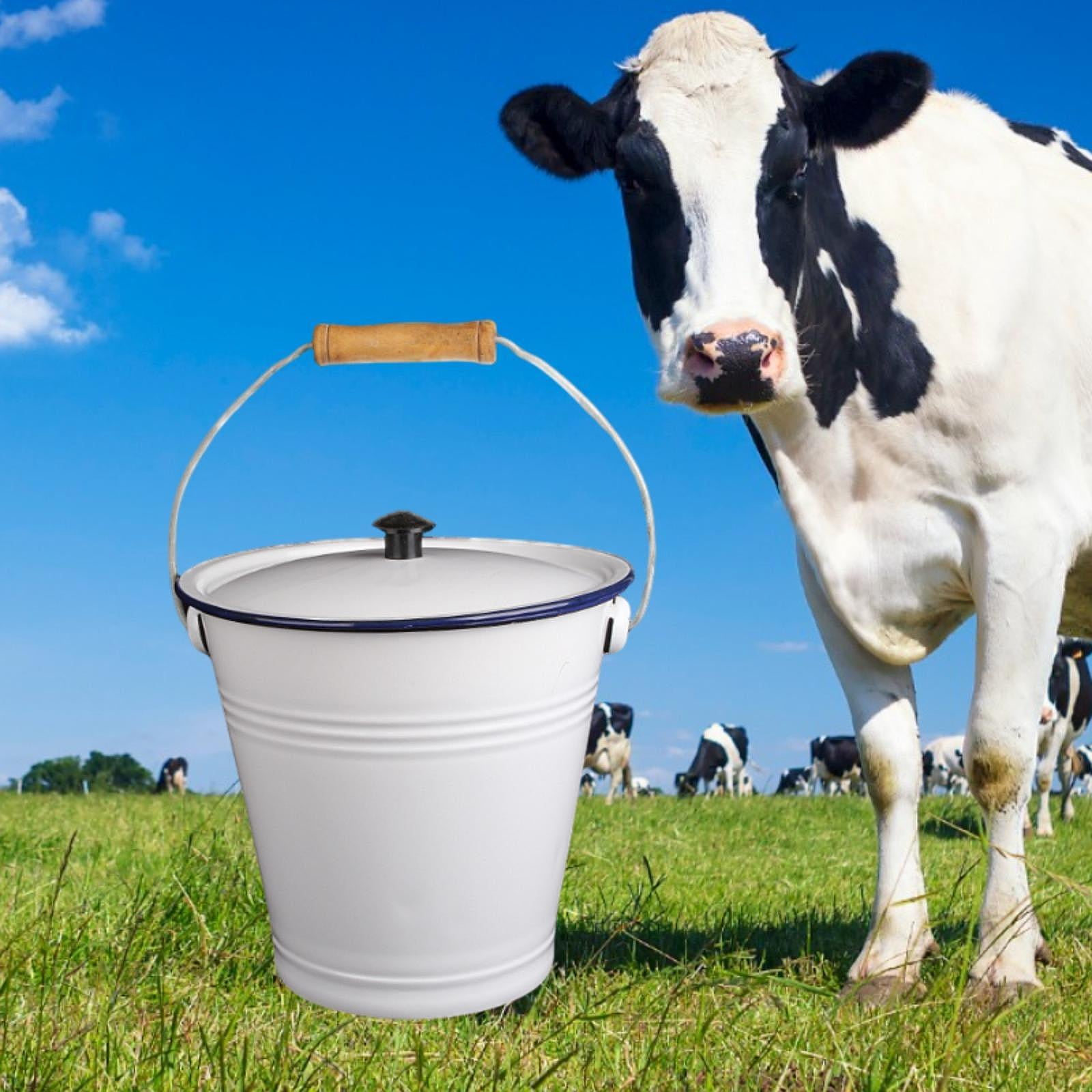 CUTICATE Emaille Bucket Liquid Container Storage with Lid 9l with ...